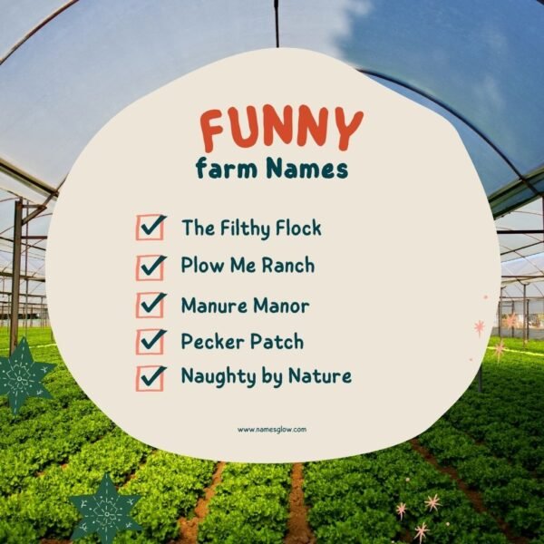 250+ Funny Farm Names That’ll Make You Laugh, Moo & Cluck! - namesglow.com